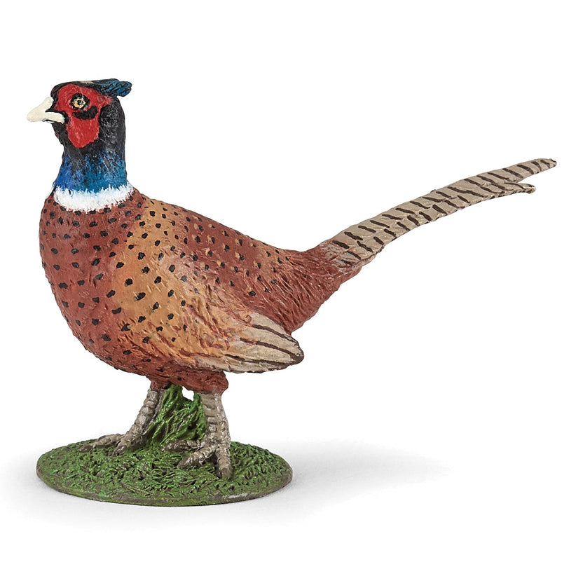 Pheasant Figurine - Wildlife | Papo France