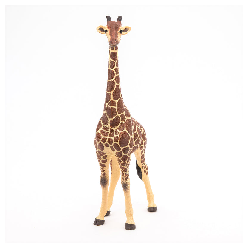 Male Giraffe Figurine - Wildlife | Papo France