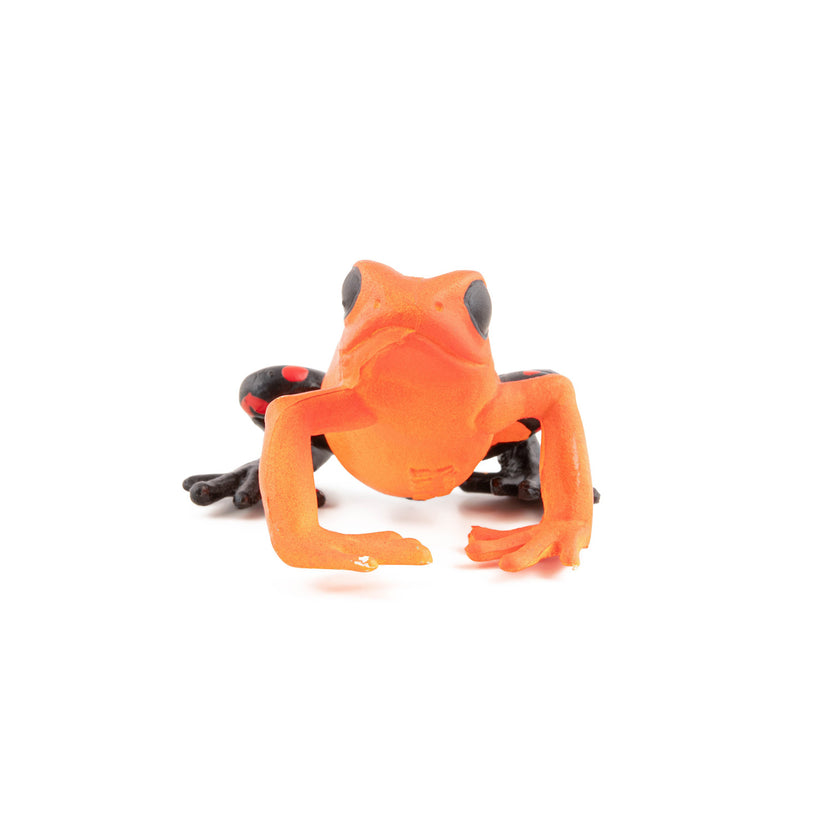 Figurine Grenouille équatoriale rouge - La Vie Sauvage | Papo France