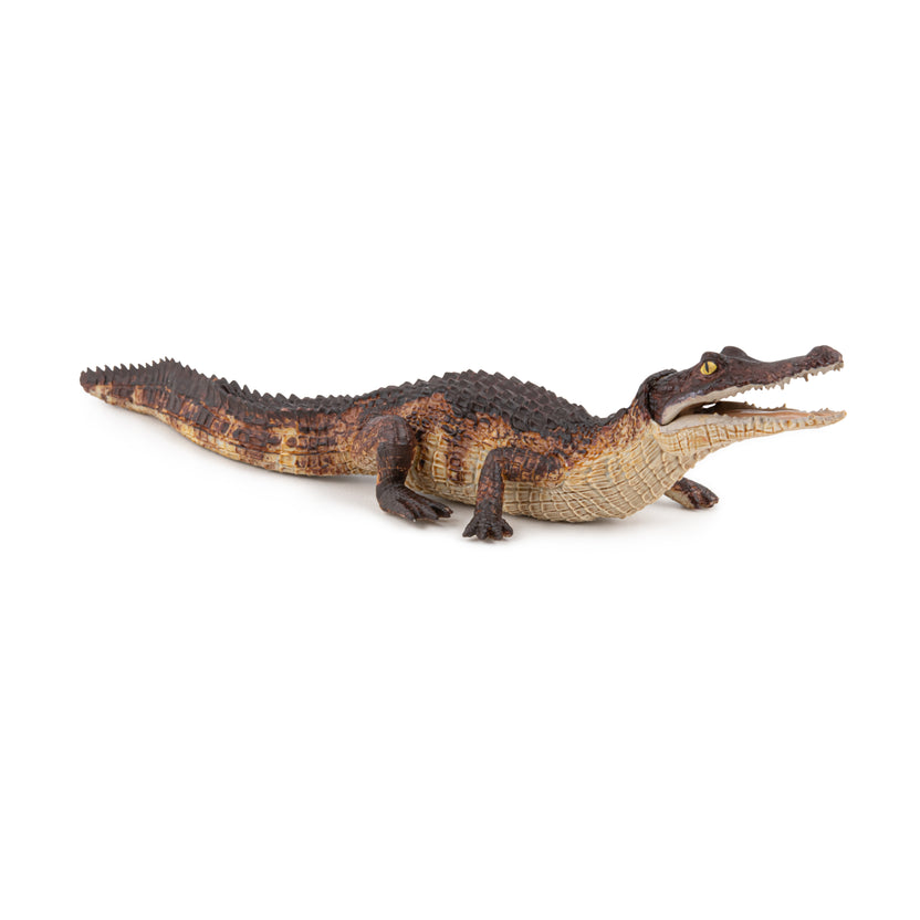 Caiman Figurine - Wildlife | Papo France