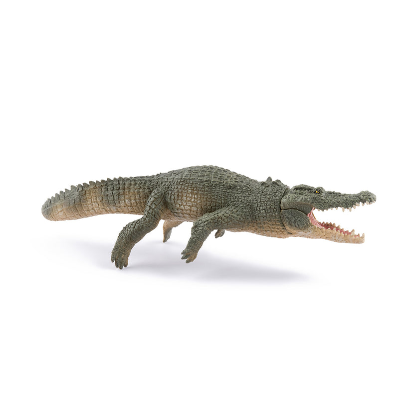 Saltwater Crocodile Figurine - Wildlife | Papo France