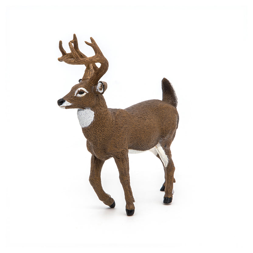 White-tailed Deer Figurine - Wildlife | Papo France
