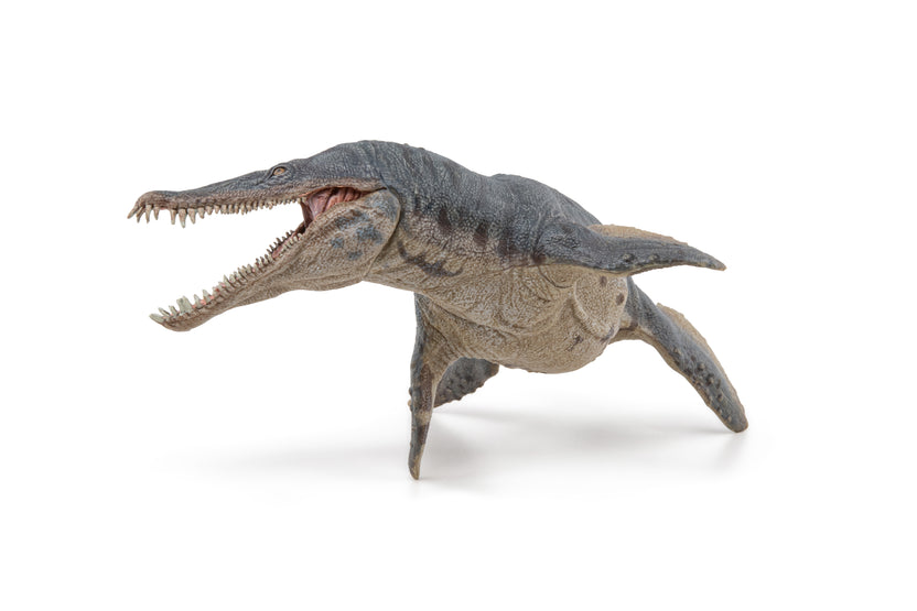 Figurine Kronosaurus - Les dinosaures | Papo France