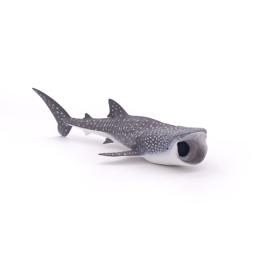 Whale Shark Figurine - The Marine Universe | Papo France