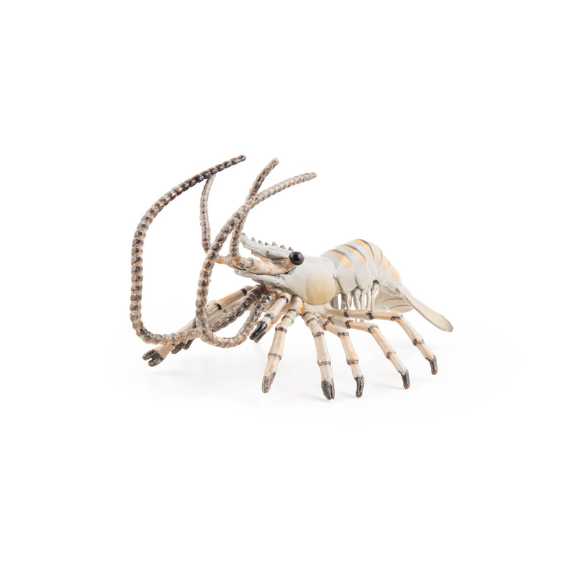 Figurine Crevette - L'univers marin | Papo France