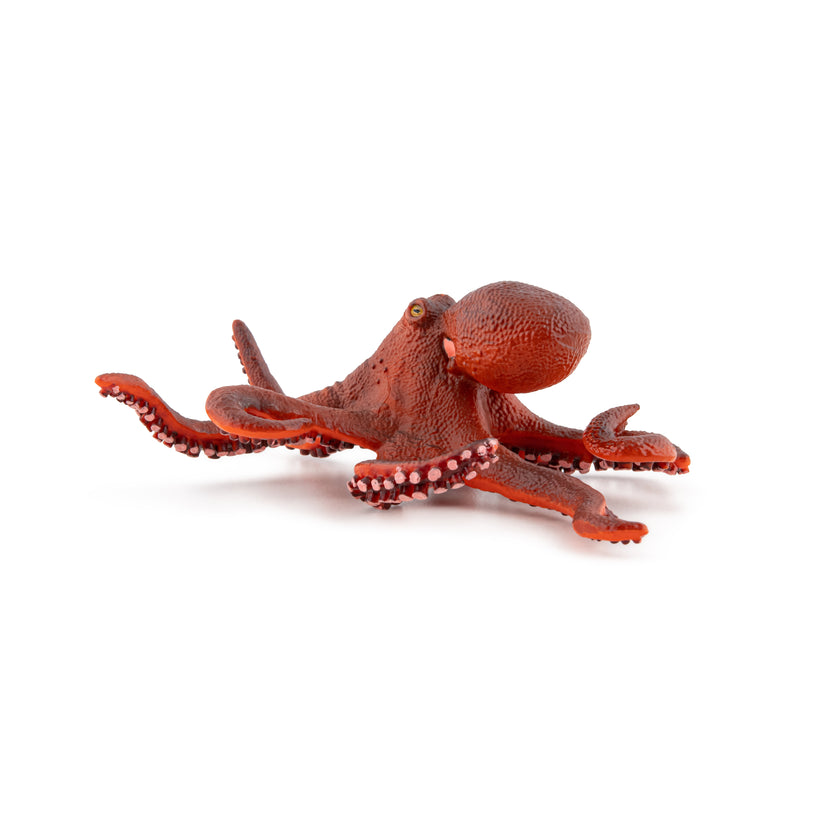 Small Octopus Figurine - The Marine Universe | Papo France