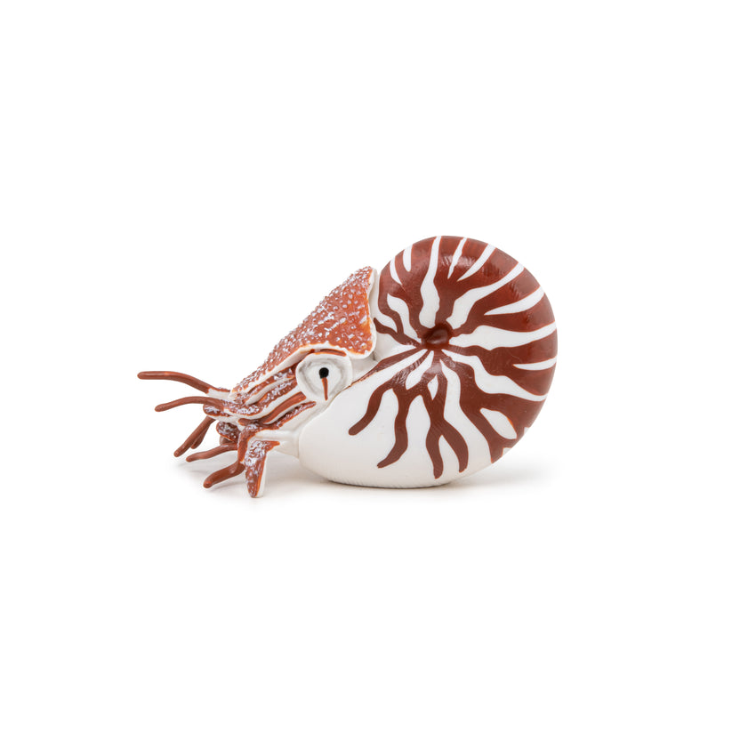 Figurine Nautile - L'univers marin | Papo France