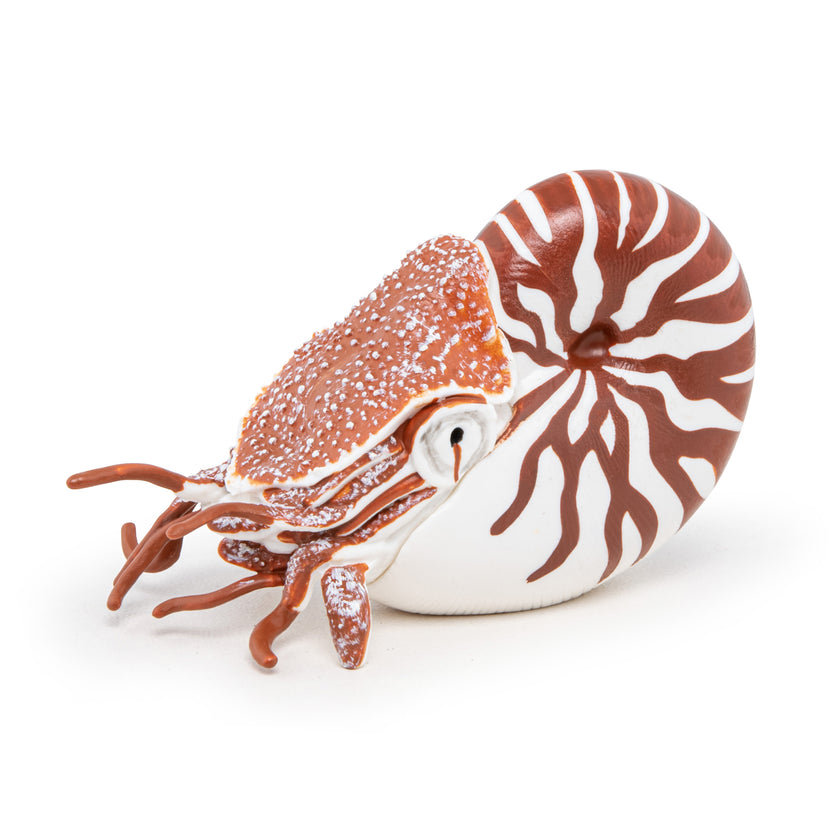 Figurine Nautile - L'univers marin | Papo France